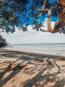 Things to Do with Kids in Auckland - Travel and Taste With Tracy